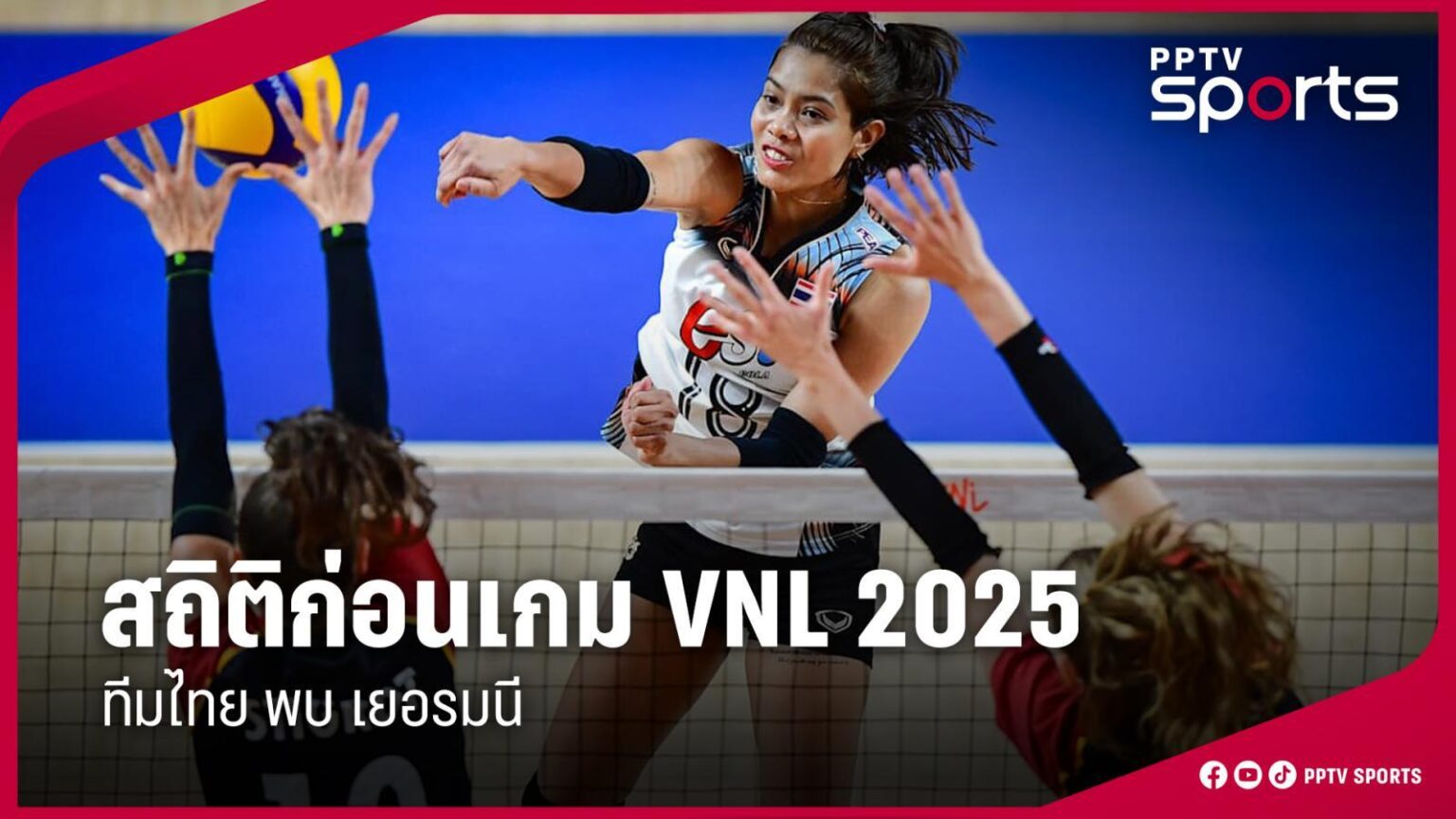 ข่าวล่าสุด ข่าวด่วน เกาะกระแสร้อนแรง ไลฟ์สไตล์ Siam intelligence